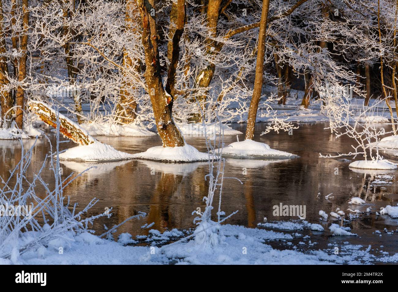 Symsarna river in winter, Poland Stock Photo - Alamy