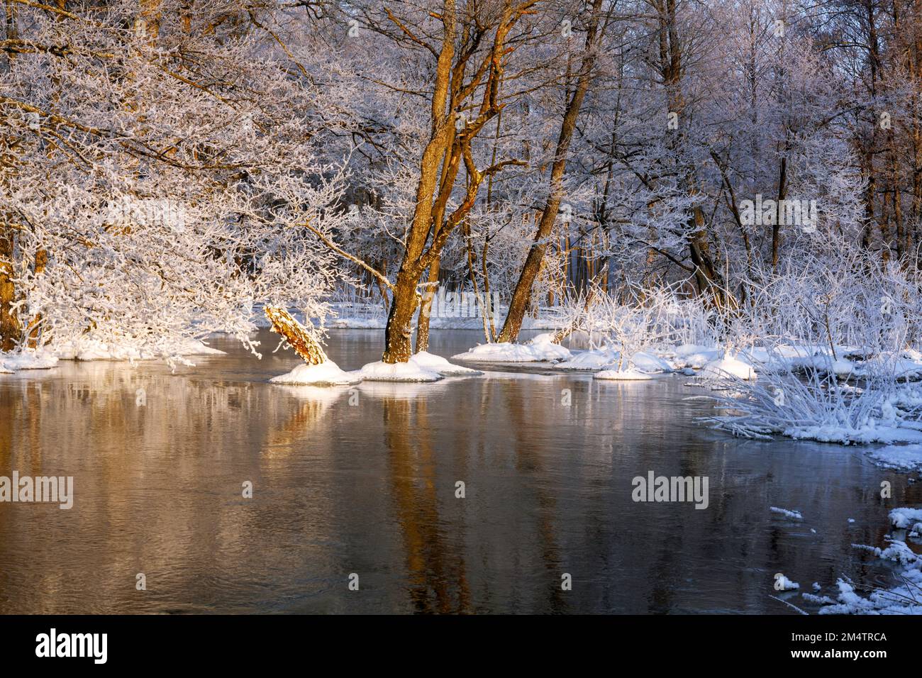 Symsarna river in winter, Poland Stock Photo - Alamy