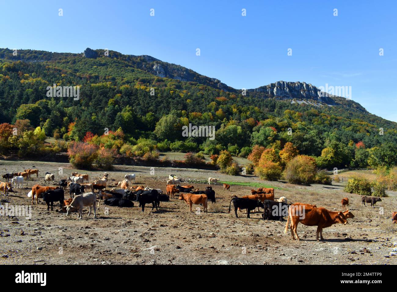 Villafria de san zadornil hi-res stock photography and images - Alamy