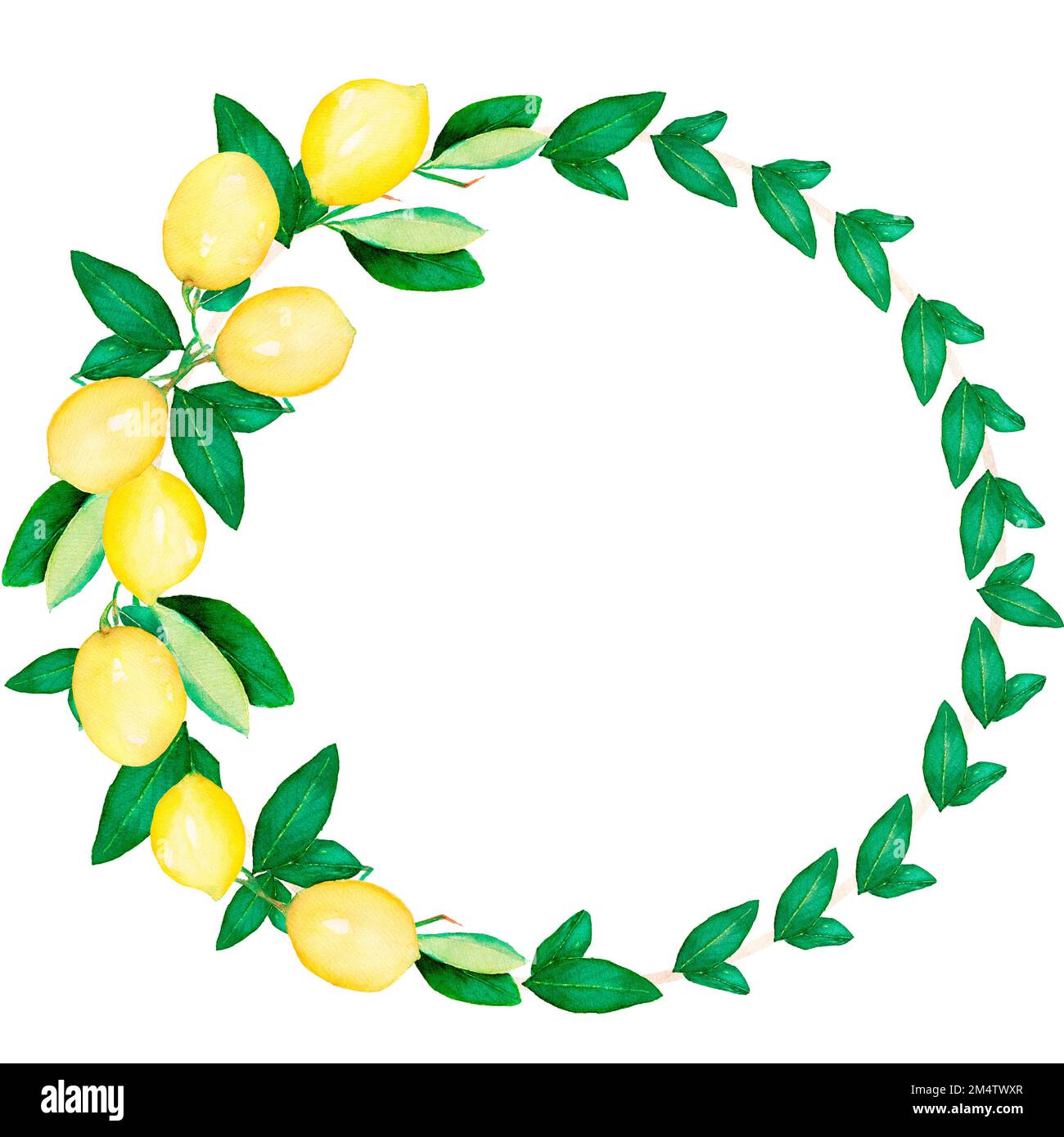 Watercolor hand painted lemon wreath. Lemons fruit frame. Wedding ...