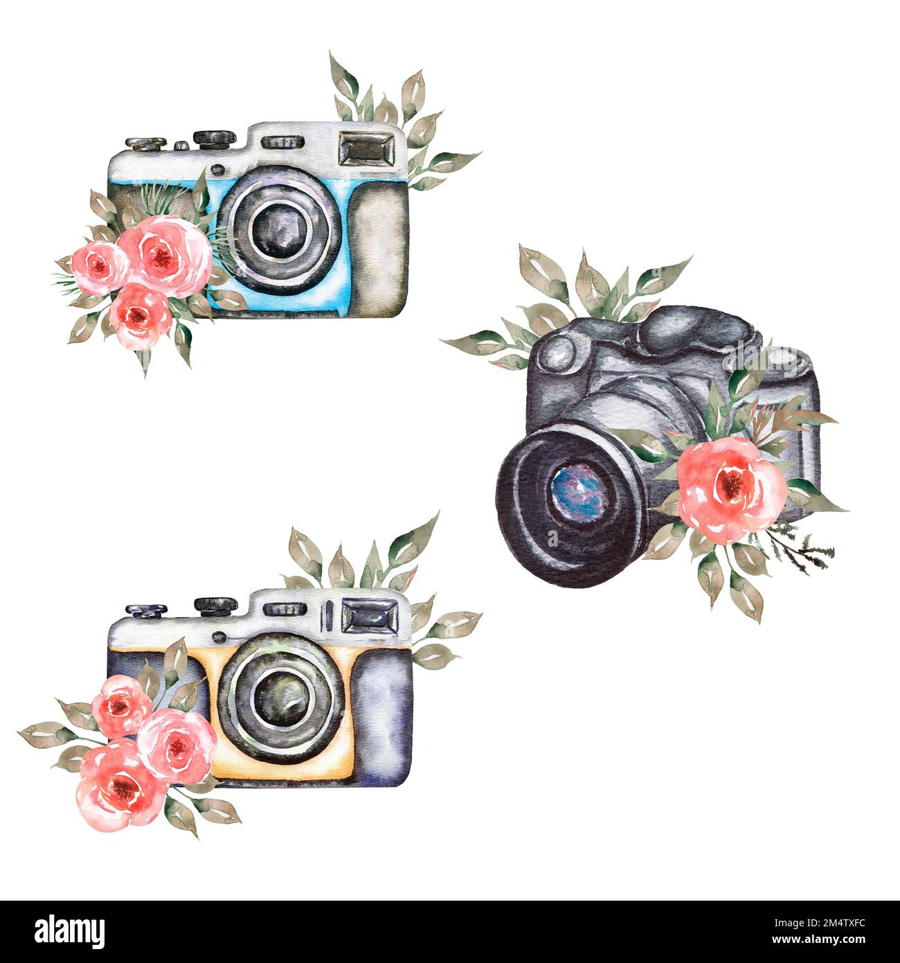 Cameras Clip Art Flower Painting Painting Purple June Flowers – A