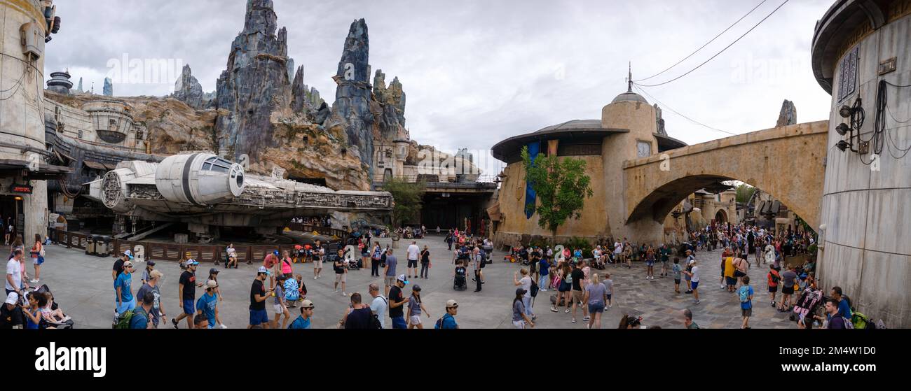 An aerial view of crowd of people at Millennium Falcon: Smugglers Run ...