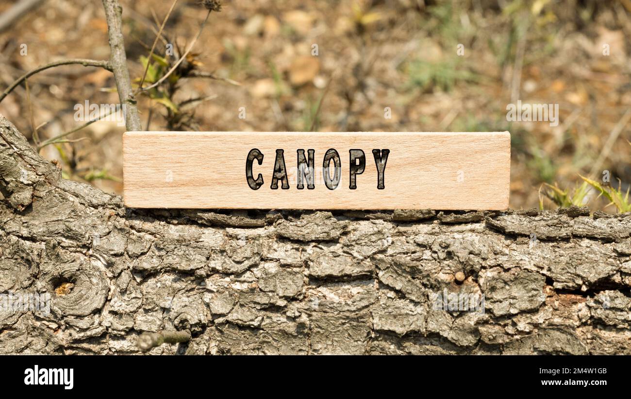 Canopy word. Background log written on wooden frame. Adventure sports ...