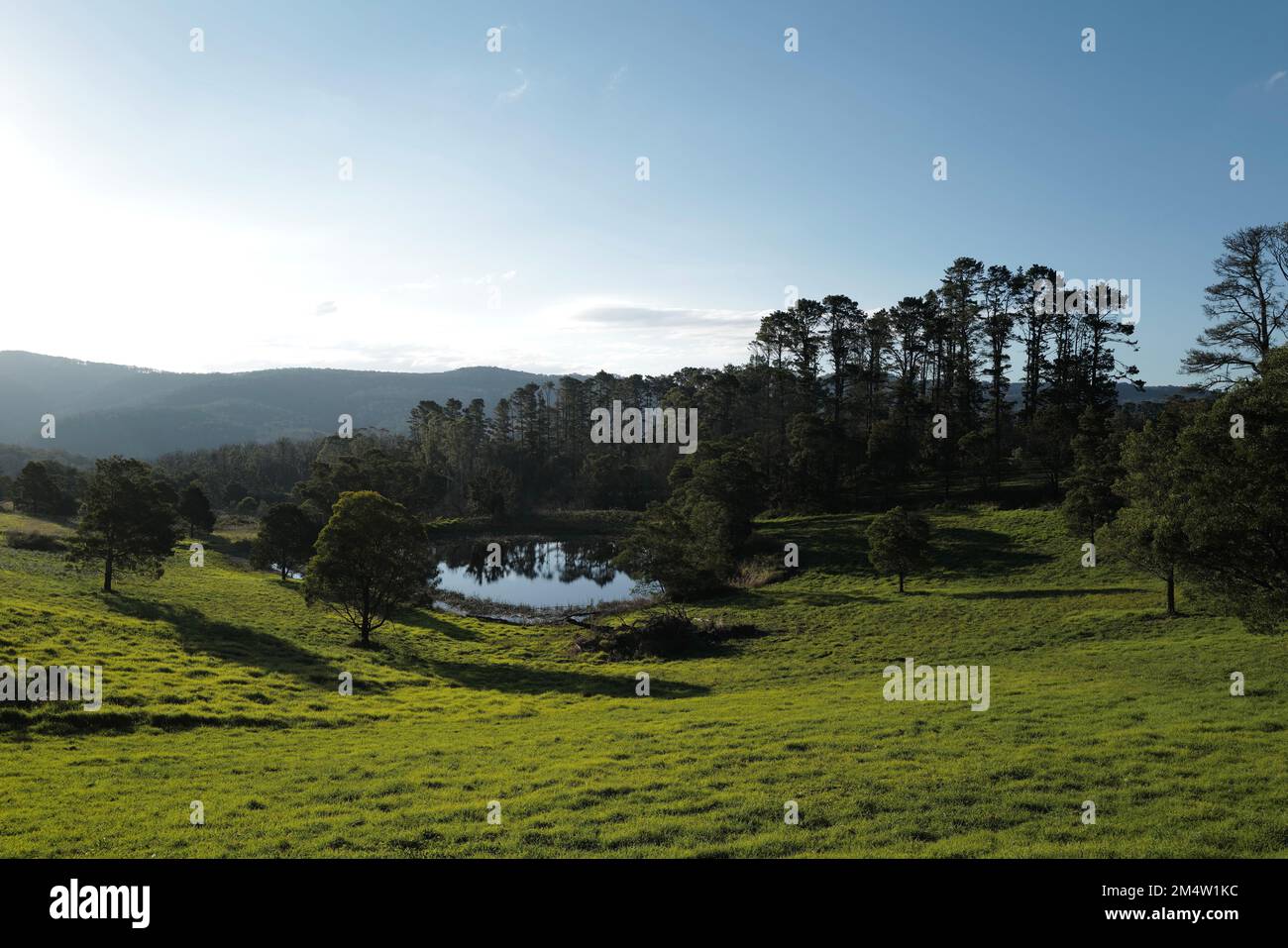 A lakeside landscape in Hunter Valley on a sunny day Stock Photo - Alamy