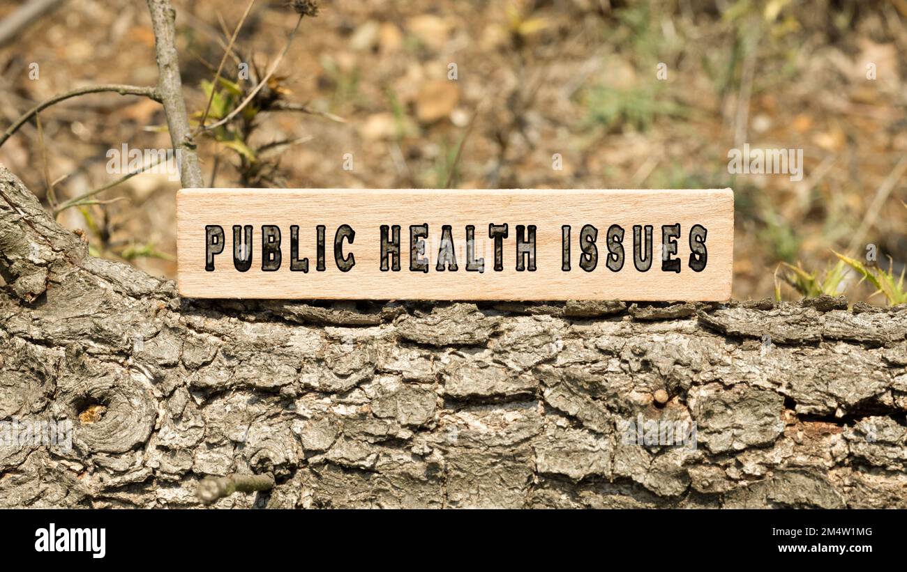 Public Health issues word. Background log written on wooden frame ...