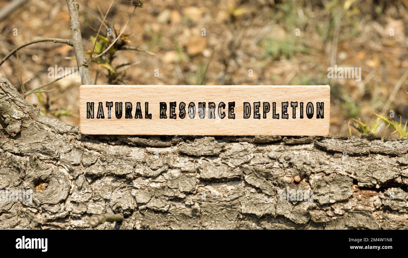 The word natural resource depletion. Background log written on wooden ...