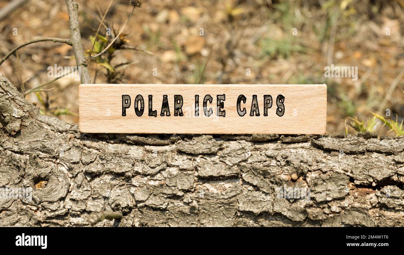 Polar ice caps word. Background log written on wooden frame. Nature and ...