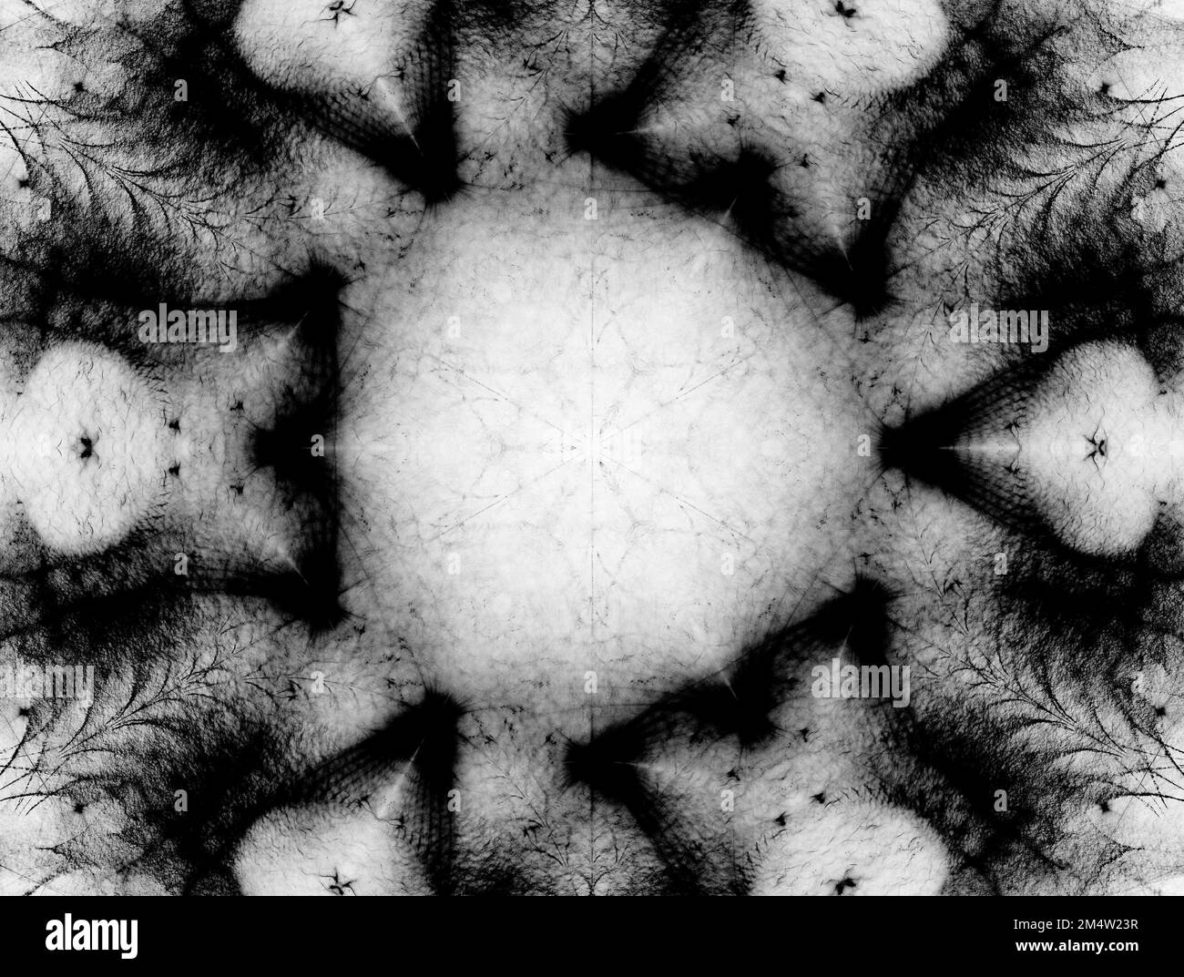 Imaginatory lush fractal texture image abstract background Stock Photo ...