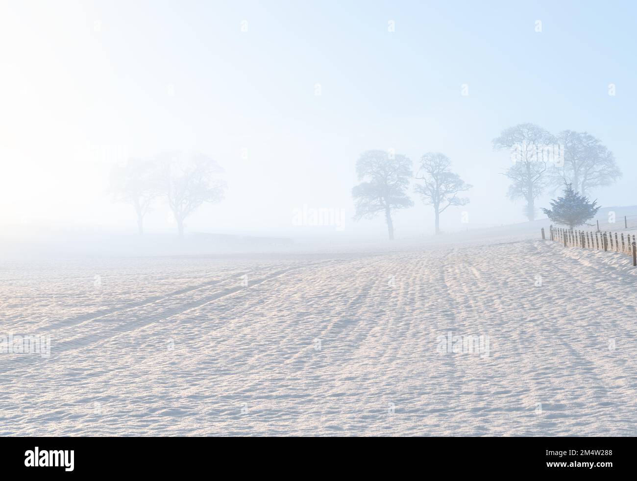 Snow Covered trees and fields in the Scottish Borders Stock Photo - Alamy