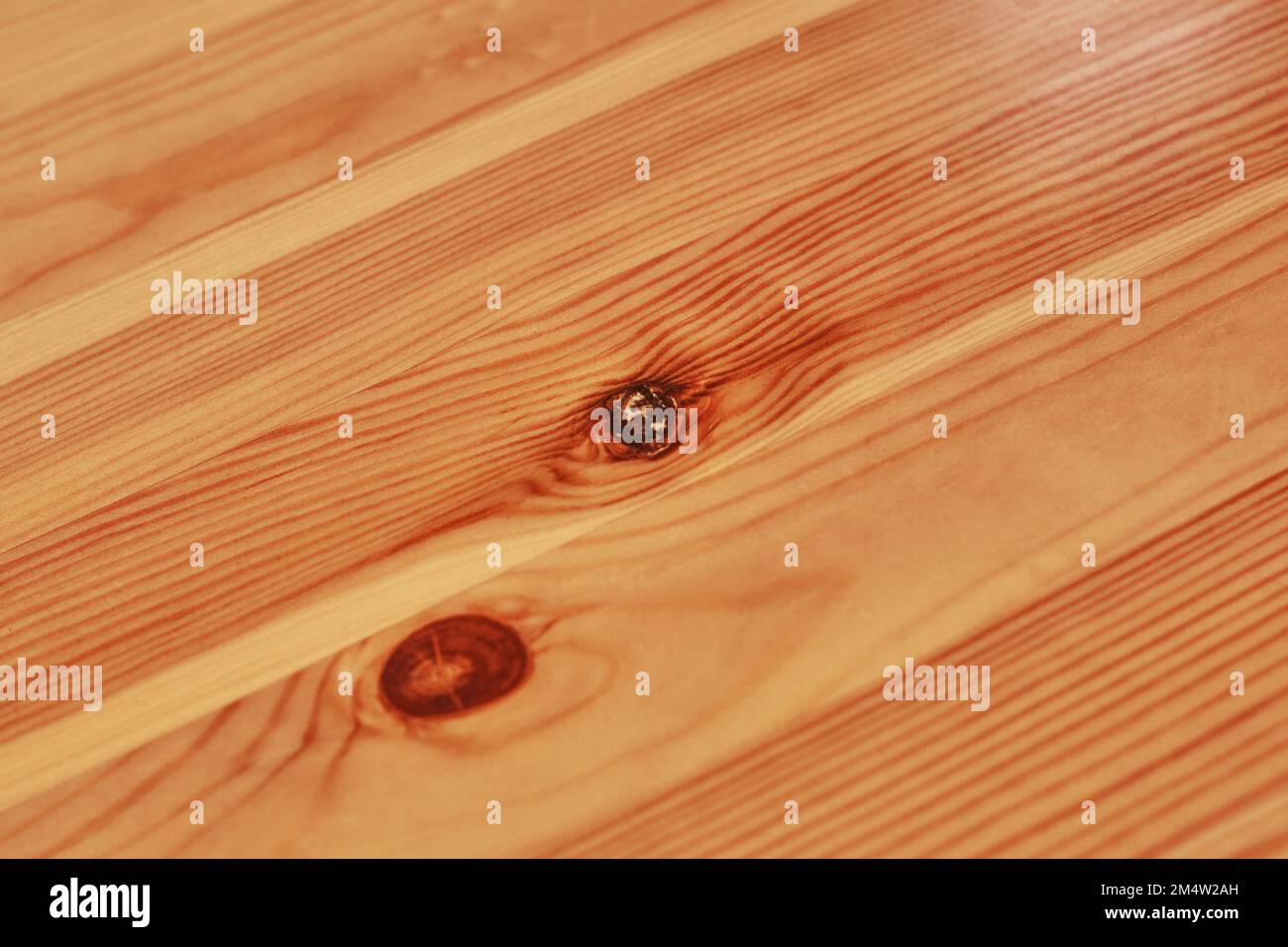 Natural wood light color texture background. Wood texture with natural ...