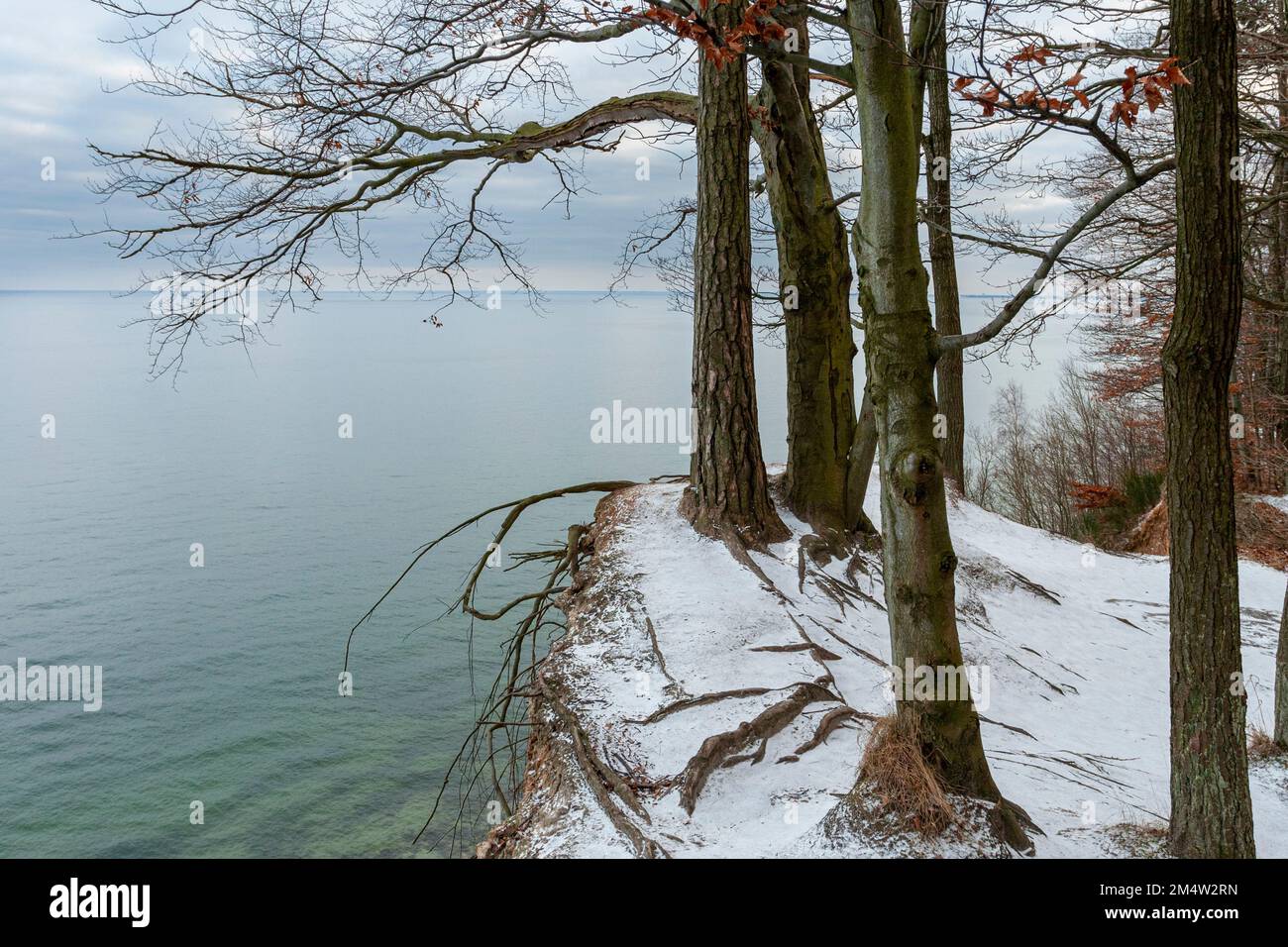 Winter in Orłowski Cliff, Poland Stock Photo - Alamy