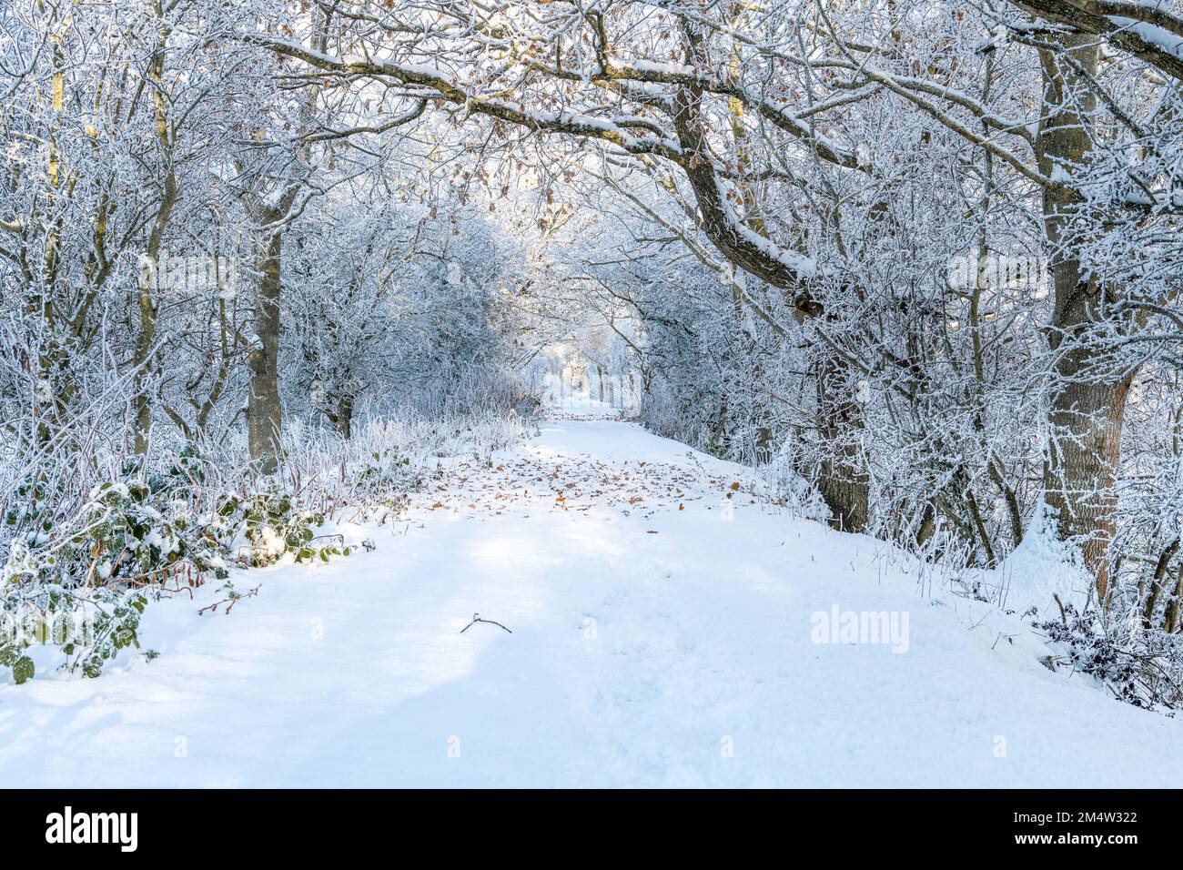 Snow covered in public footpath in the Scottish Borders Stock Photo - Alamy