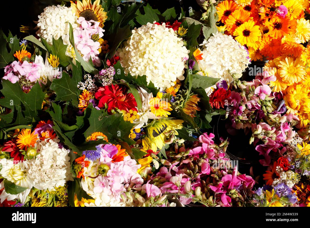 Blumenmarkt deutschland hi-res stock photography and images - Alamy