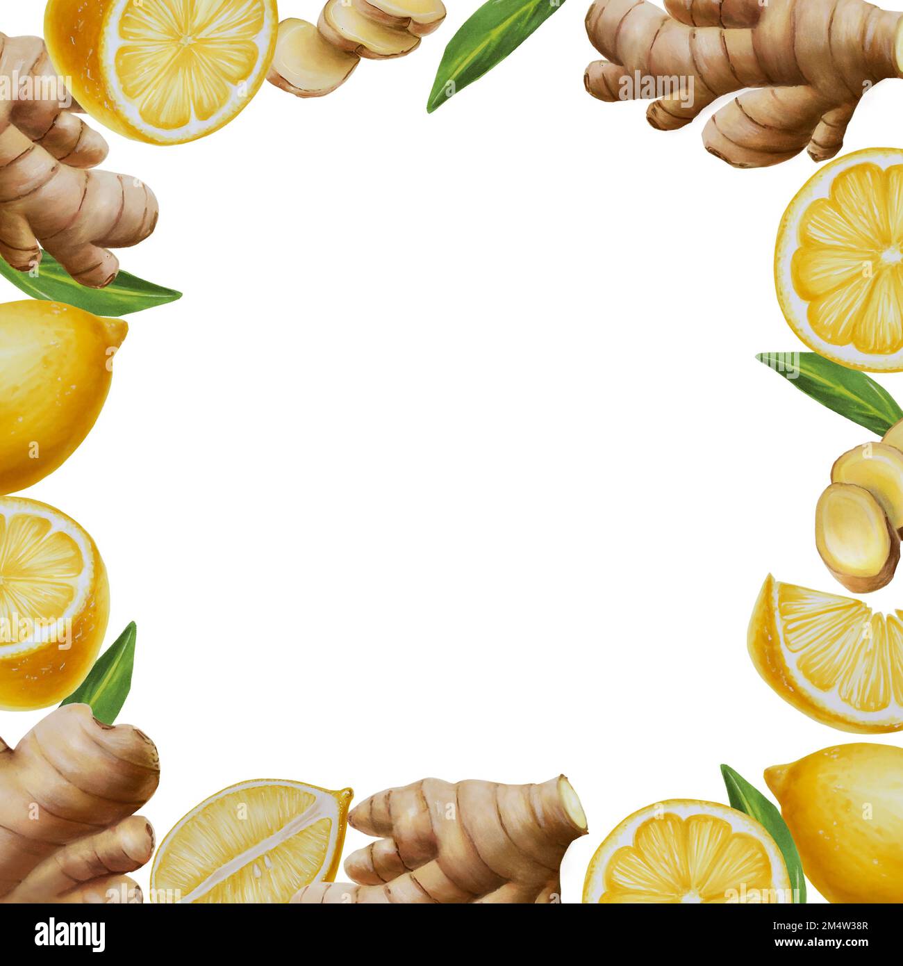 Watercolor frame with ginger and lemon. Includes ginger root and leafs ...