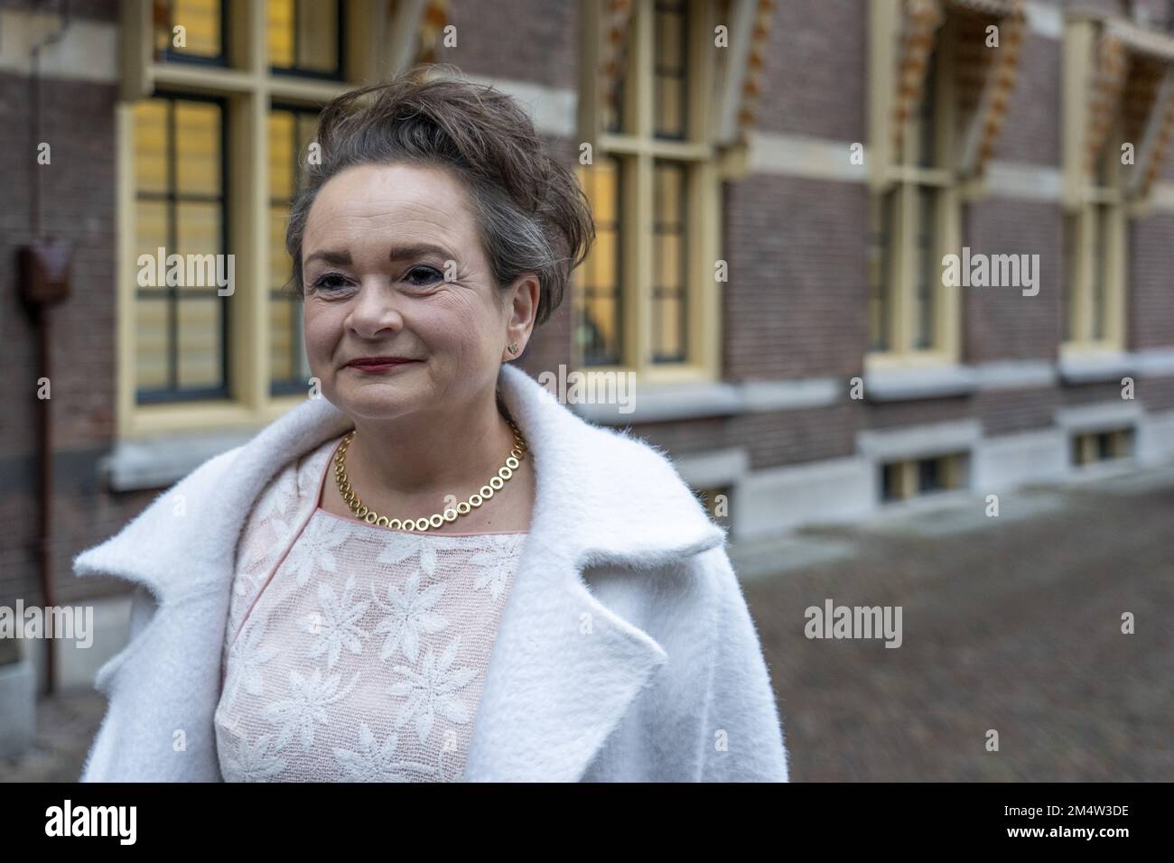 THE HAGUE - State Secretary Alexandra van Huffelen speaks to the press ...