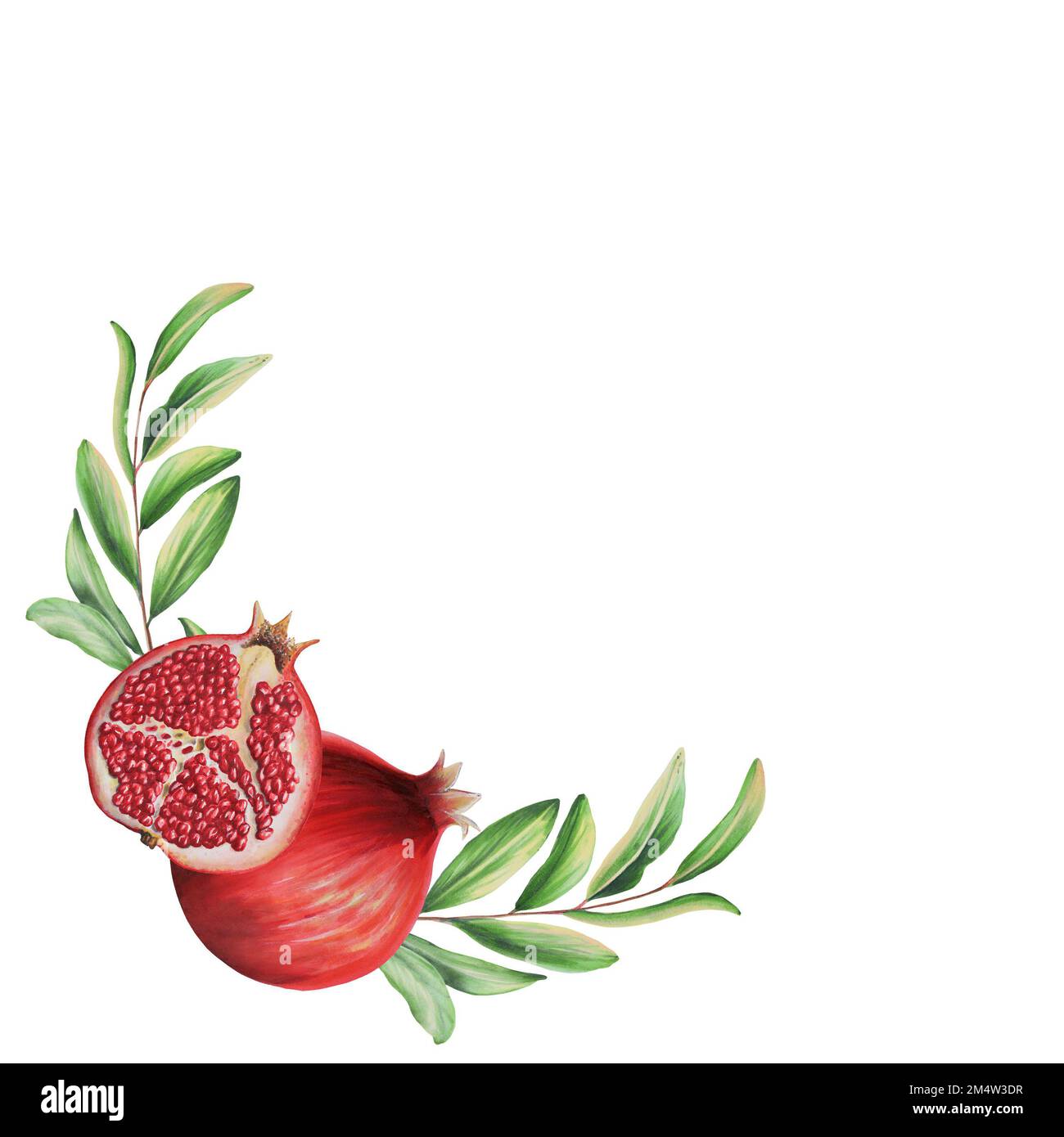 Watercolor pomegranate frame with a branch. Ripe slice, flowers and ...