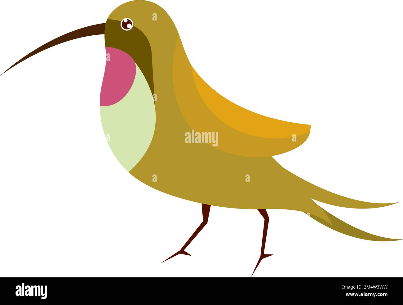 bird with long beak Stock Vector Image & Art - Alamy