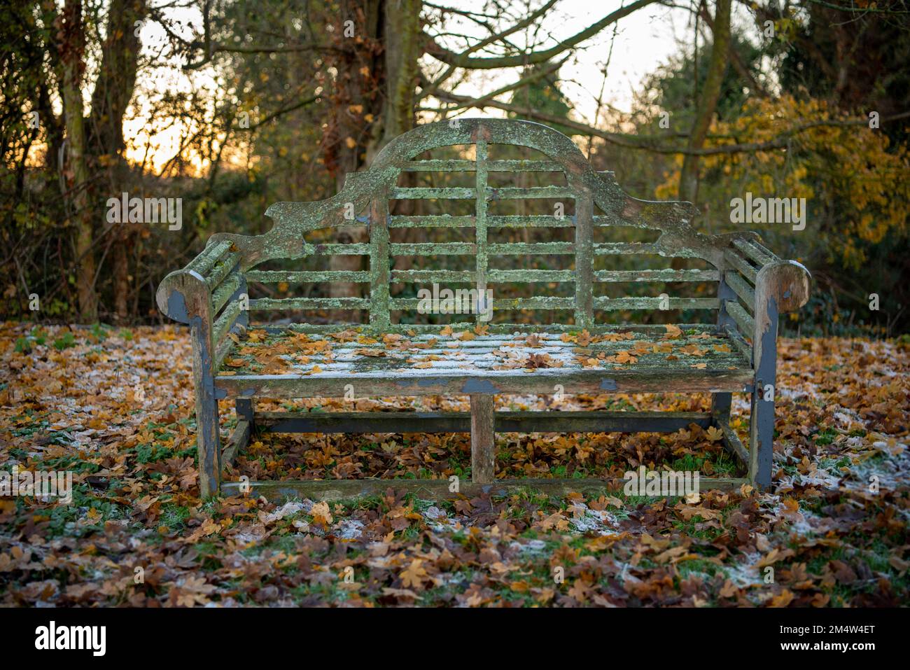 Autumn garden bench Stock Photo - Alamy