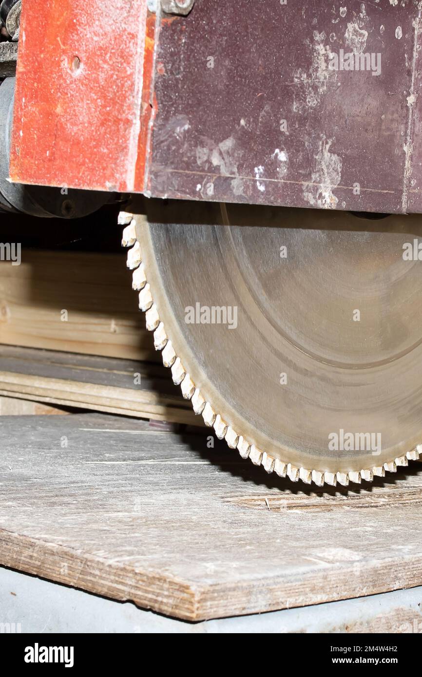 Serrations hi-res stock photography and images - Alamy