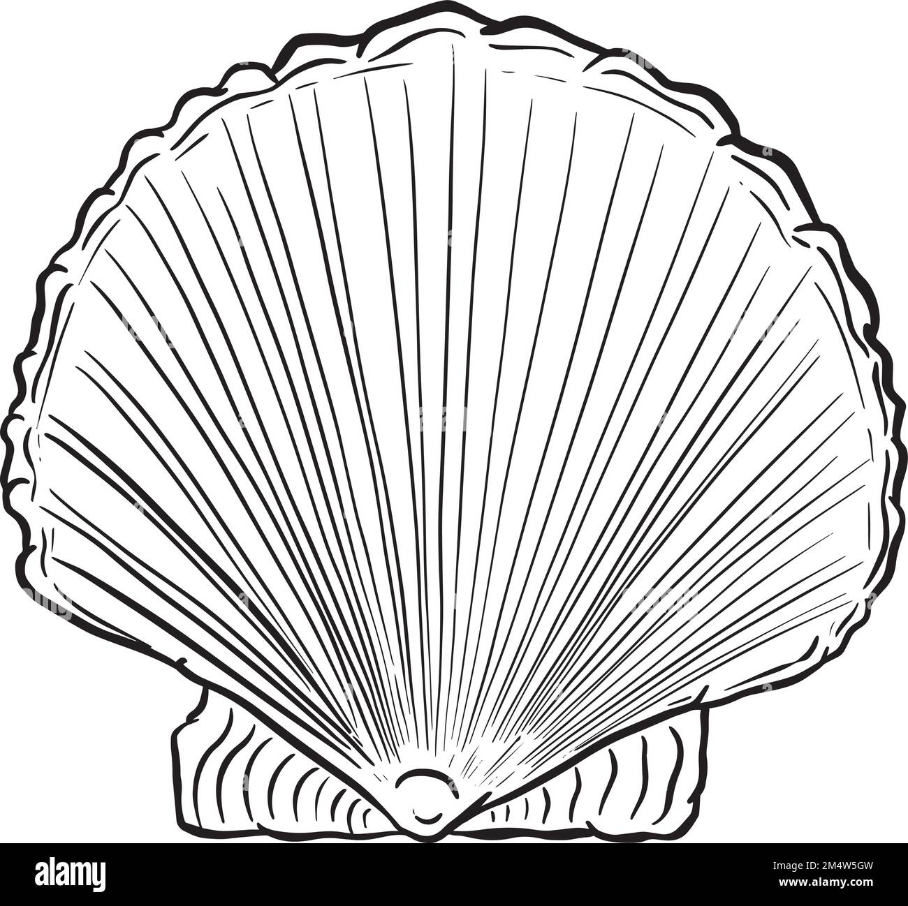 Conch Sea Snail Shell Outline Cartoon Style Logo Design in Vector Stock ...