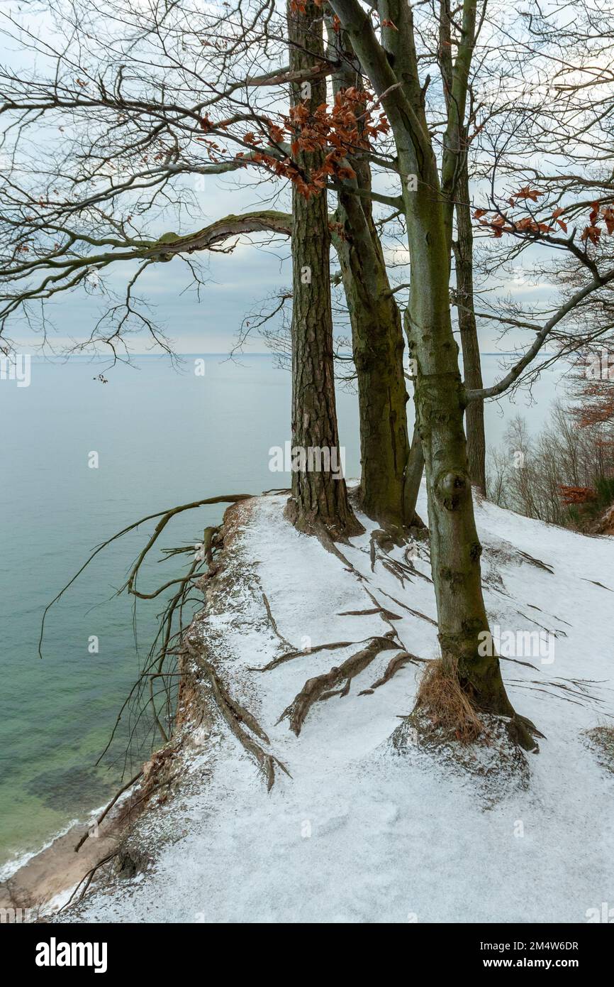 Winter in Orłowski Cliff, Poland Stock Photo - Alamy