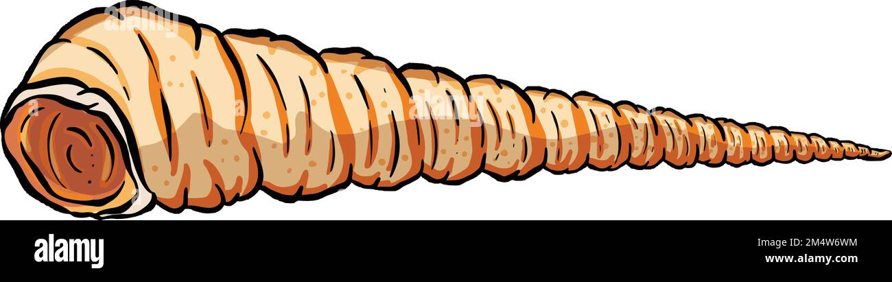 Conch Sea Snail Shell Outline Cartoon Style Logo Design in Vector Stock ...