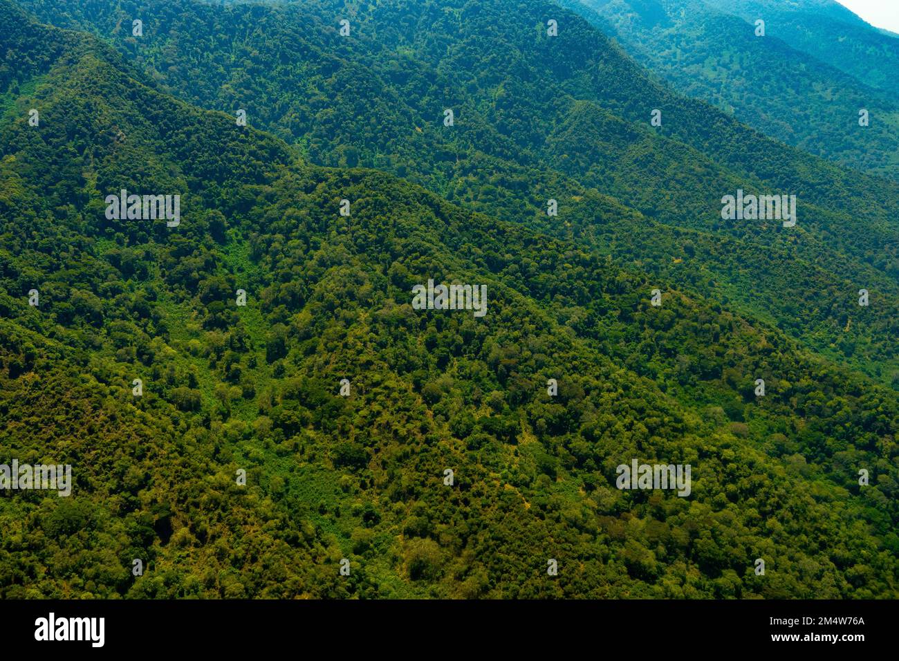 Aerial view of Tanzanian Landscape Between Arusha and Serengeti ...