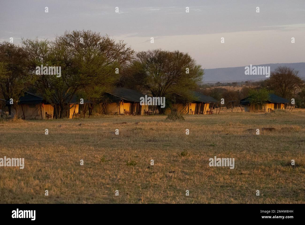 African wildlife Safari camp in the wilderness. Photographed in ...