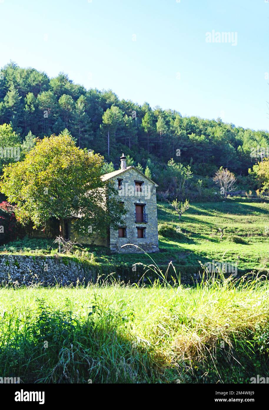 Liguerre de cinca hi-res stock photography and images - Alamy