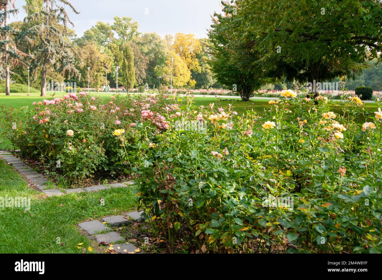 Flower garden on Margaret Island (Margitsziget) in Budapest, Hungary ...