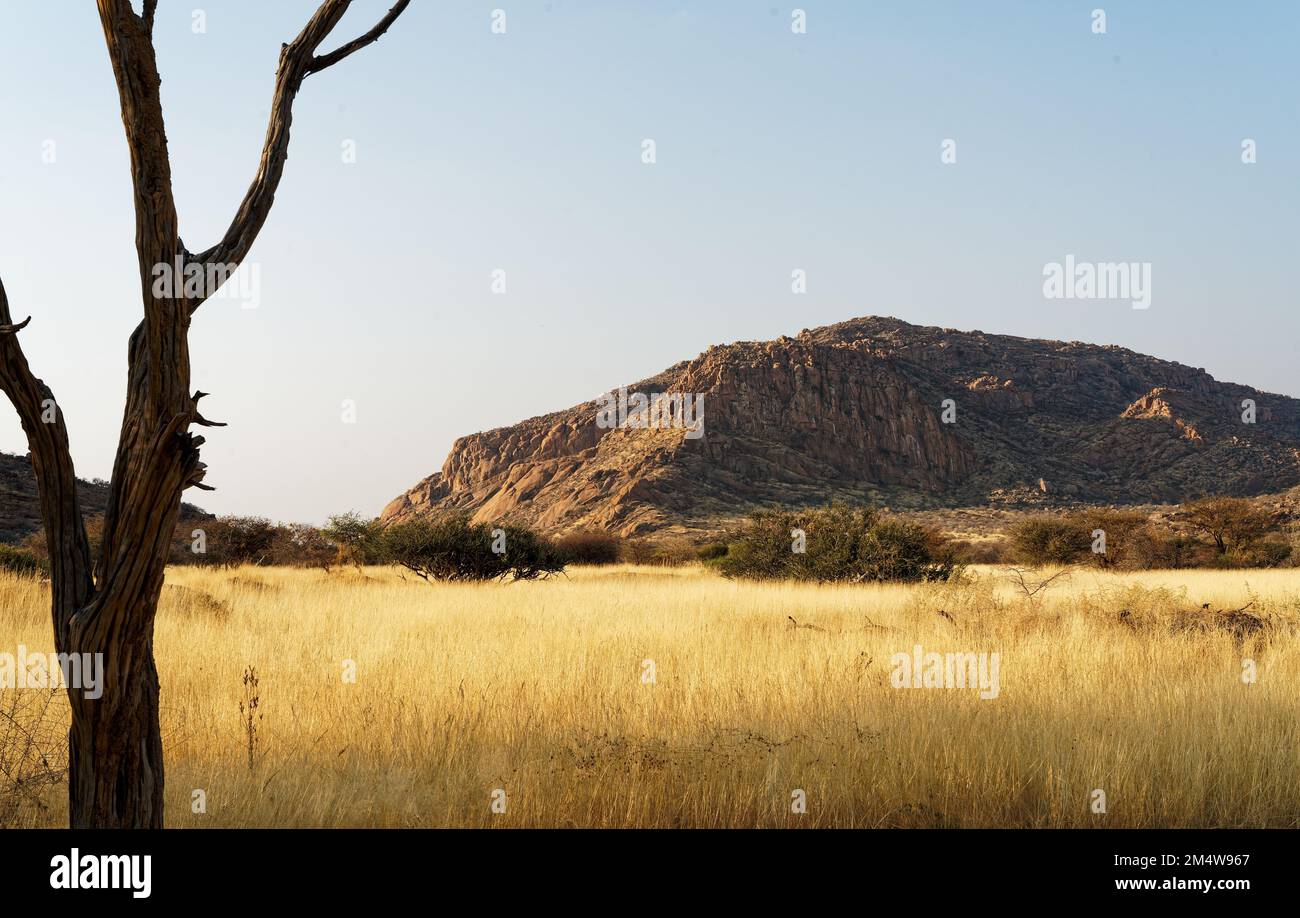 Omandumba Bush Camp, Namibia Stock Photo - Alamy