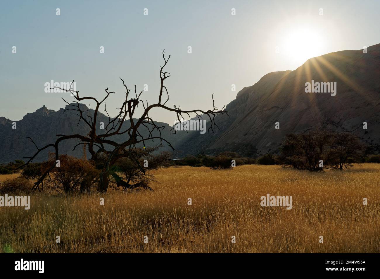 Omandumba Bush Camp, Namibia Stock Photo - Alamy