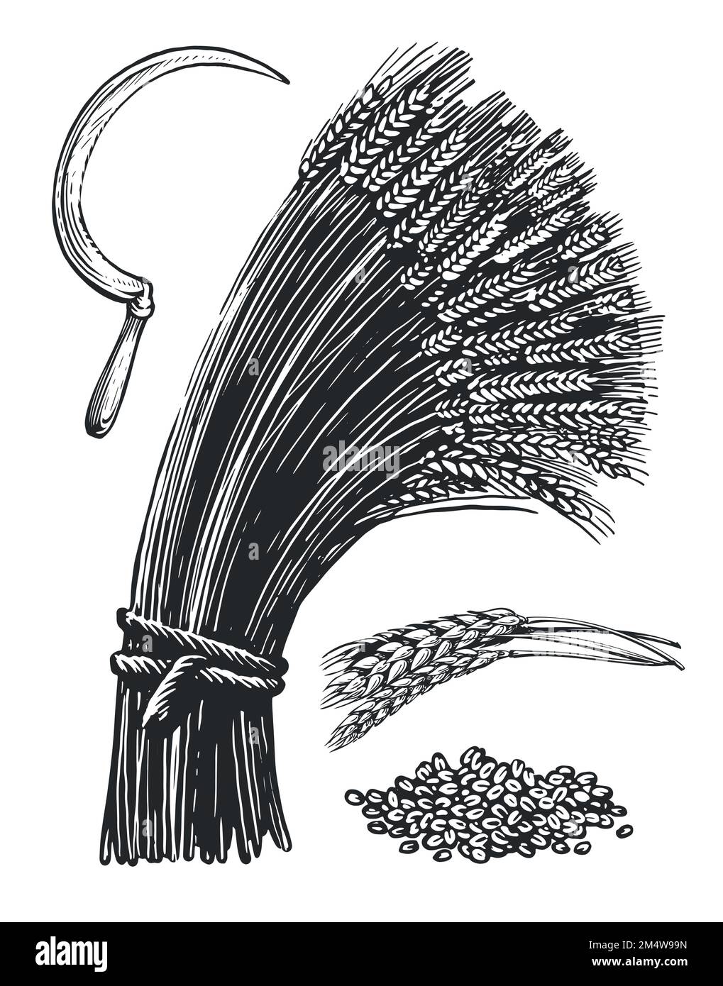 Wheat and sickle. Farm organic cereal food, bread flour. Agriculture ...