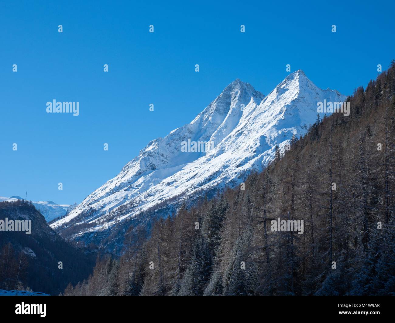 Val d'Herens, Switzerland - April 10th 2022: Sun lit fir tree forest in ...
