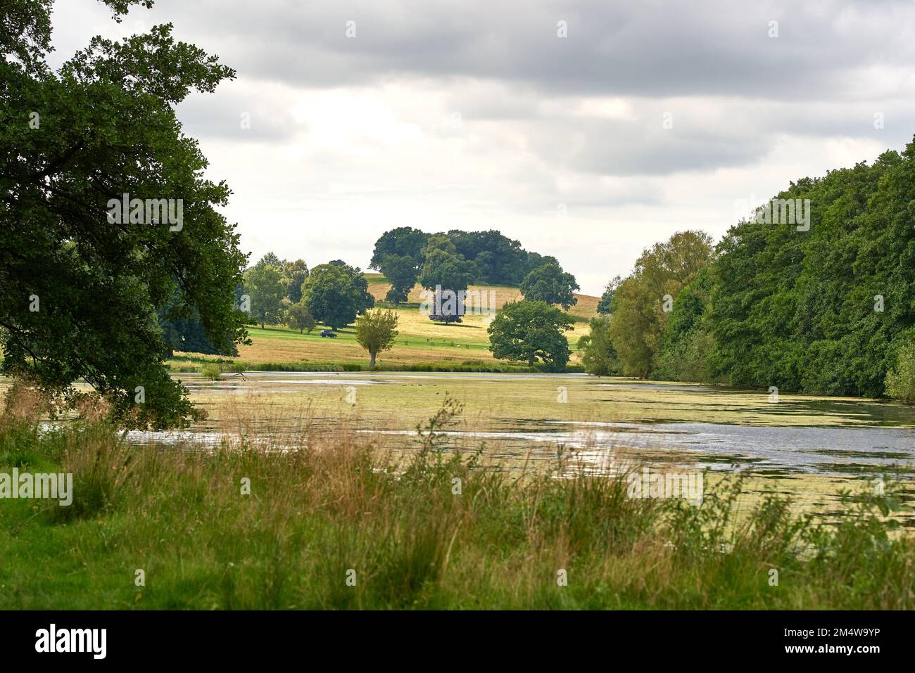Pastoral river landscape in Derbyshire Stock Photo - Alamy