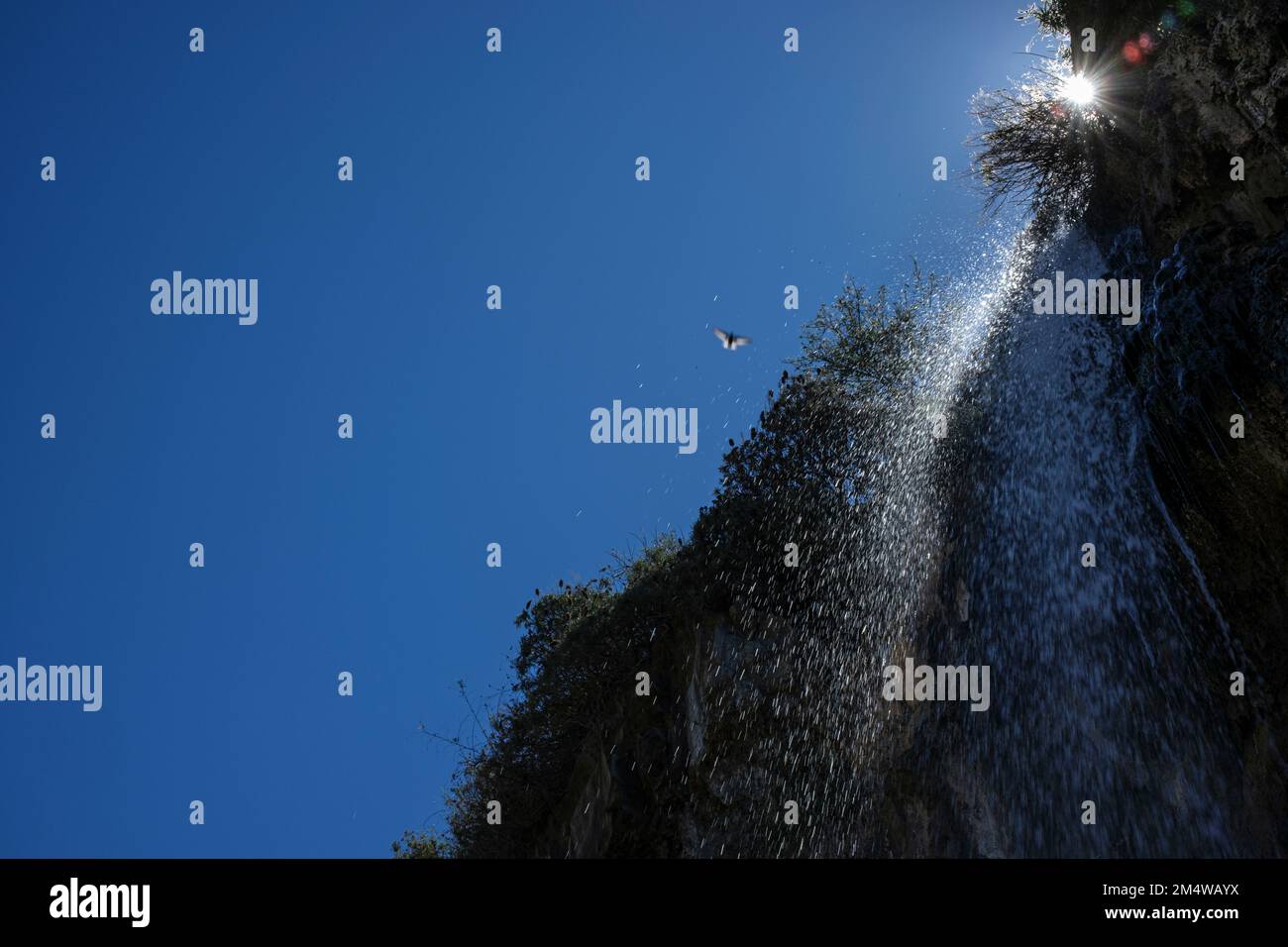 Chindia cascade, waterfall pouring over the cliff, backlit, with bird ...
