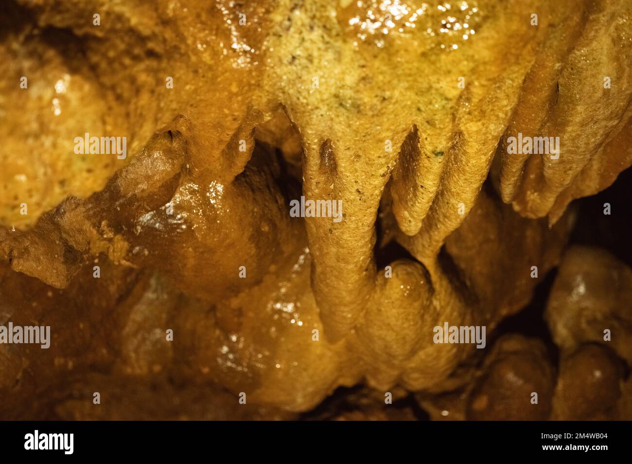 Stalagmites are speleothem formed by water dripping or flowing from ...
