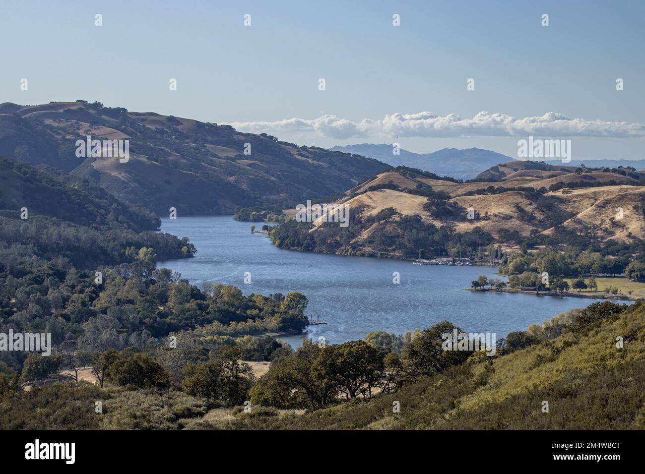 A river flowing through the mountains with trees in Del Valle Regional ...