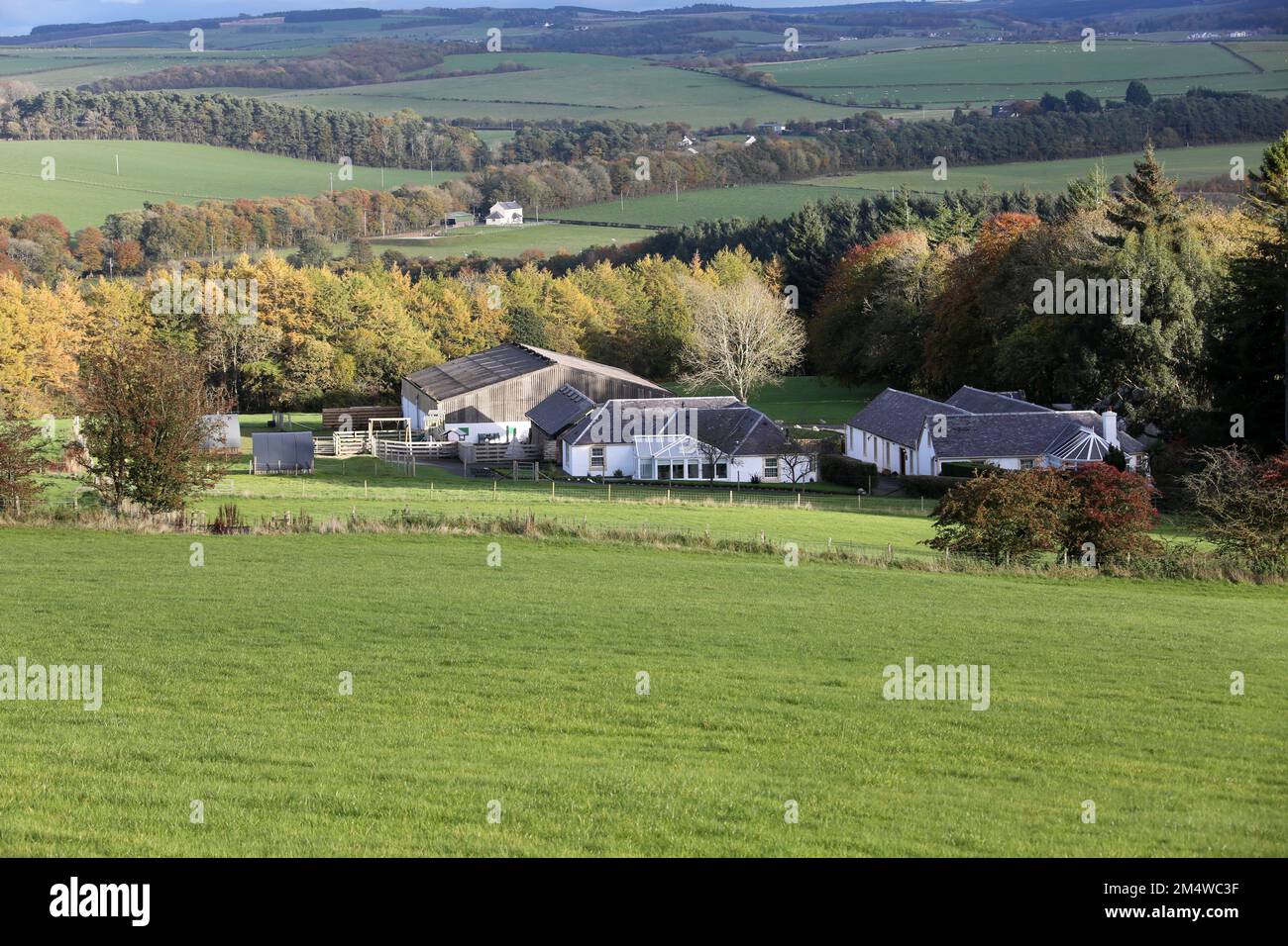 Supporting vunerable hi-res stock photography and images - Alamy