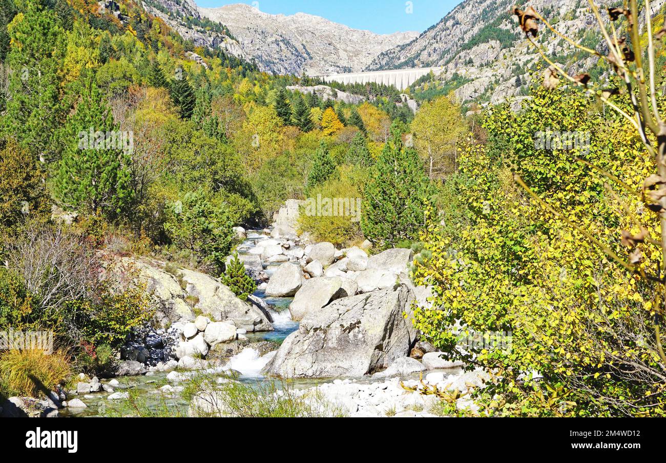 Noguera Tor River in the Bohí Valley in Lleida, Catalunya, Spain ...