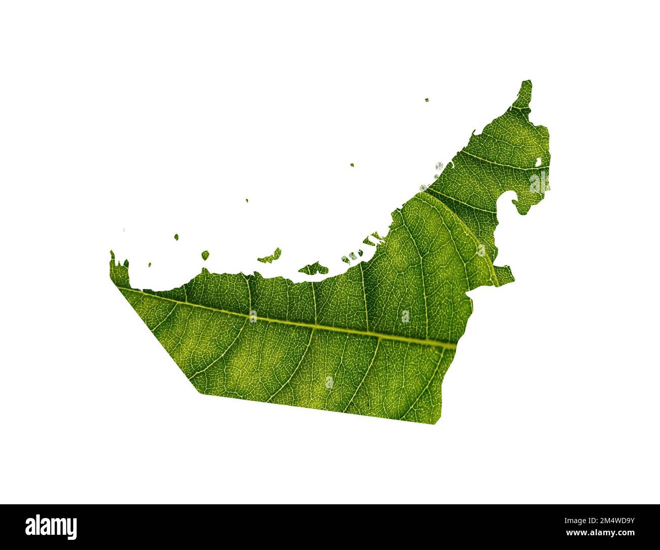 A Dubai map made of green leaves on soil background ecology concept on ...