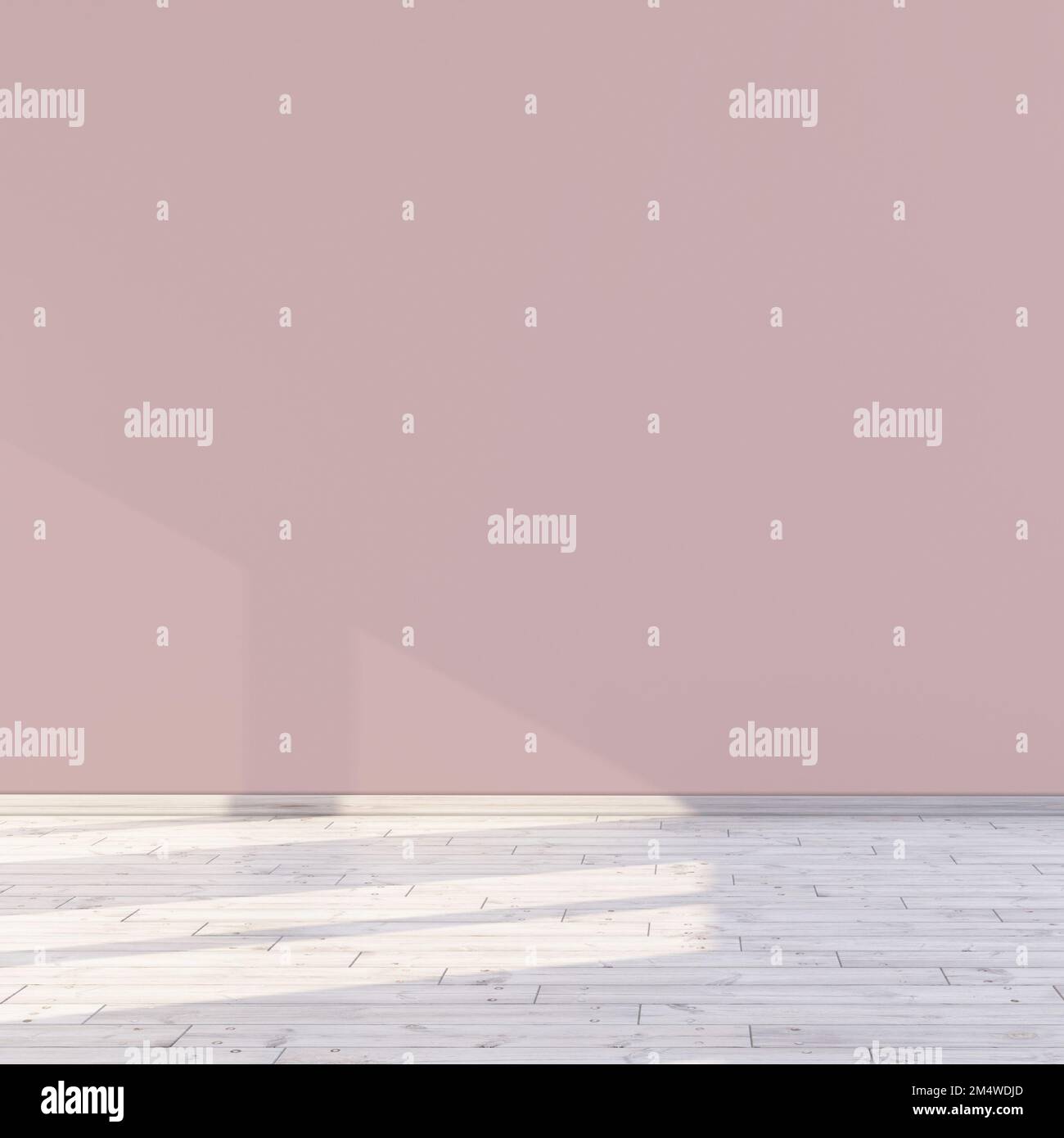 Empty room with light pink empty wall and sunlight through window in a ...