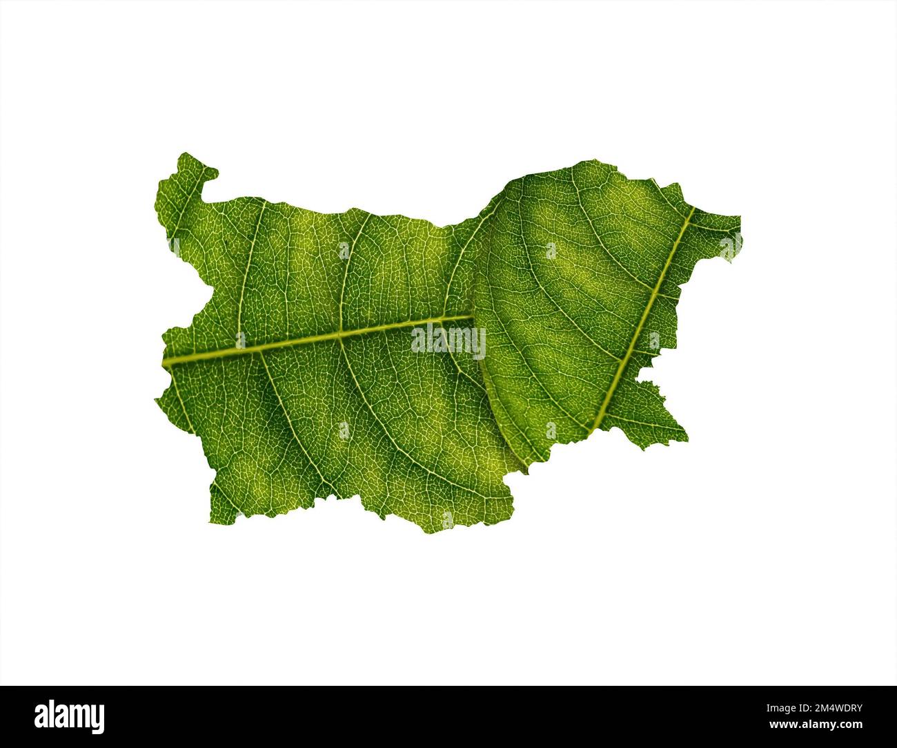 A Bulgaria map made of green leaves isolated on white background Stock ...