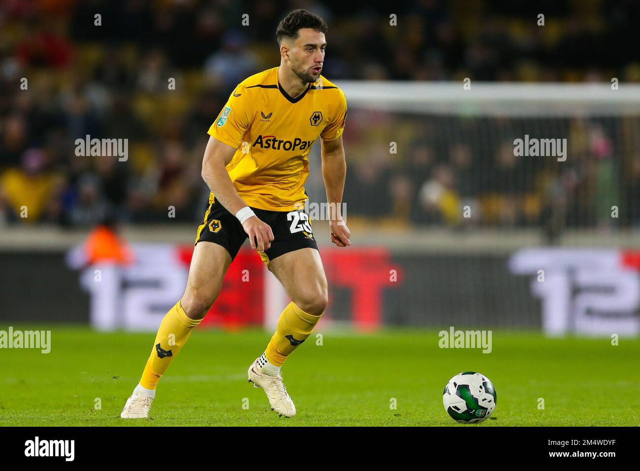 Max kilman wolves 2022 hi-res stock photography and images - Alamy