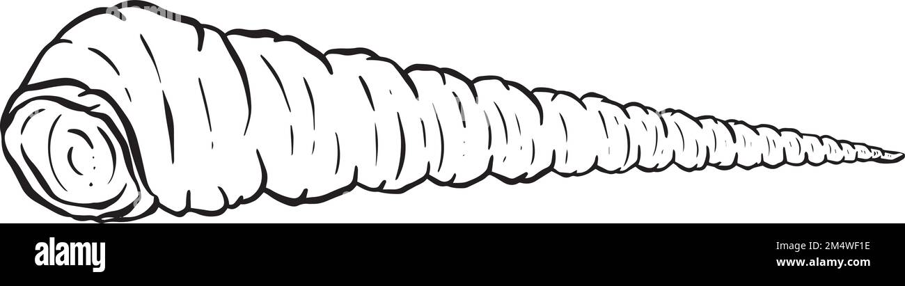 Conch Sea Snail Shell Outline Cartoon Style Logo Design in Vector Stock ...