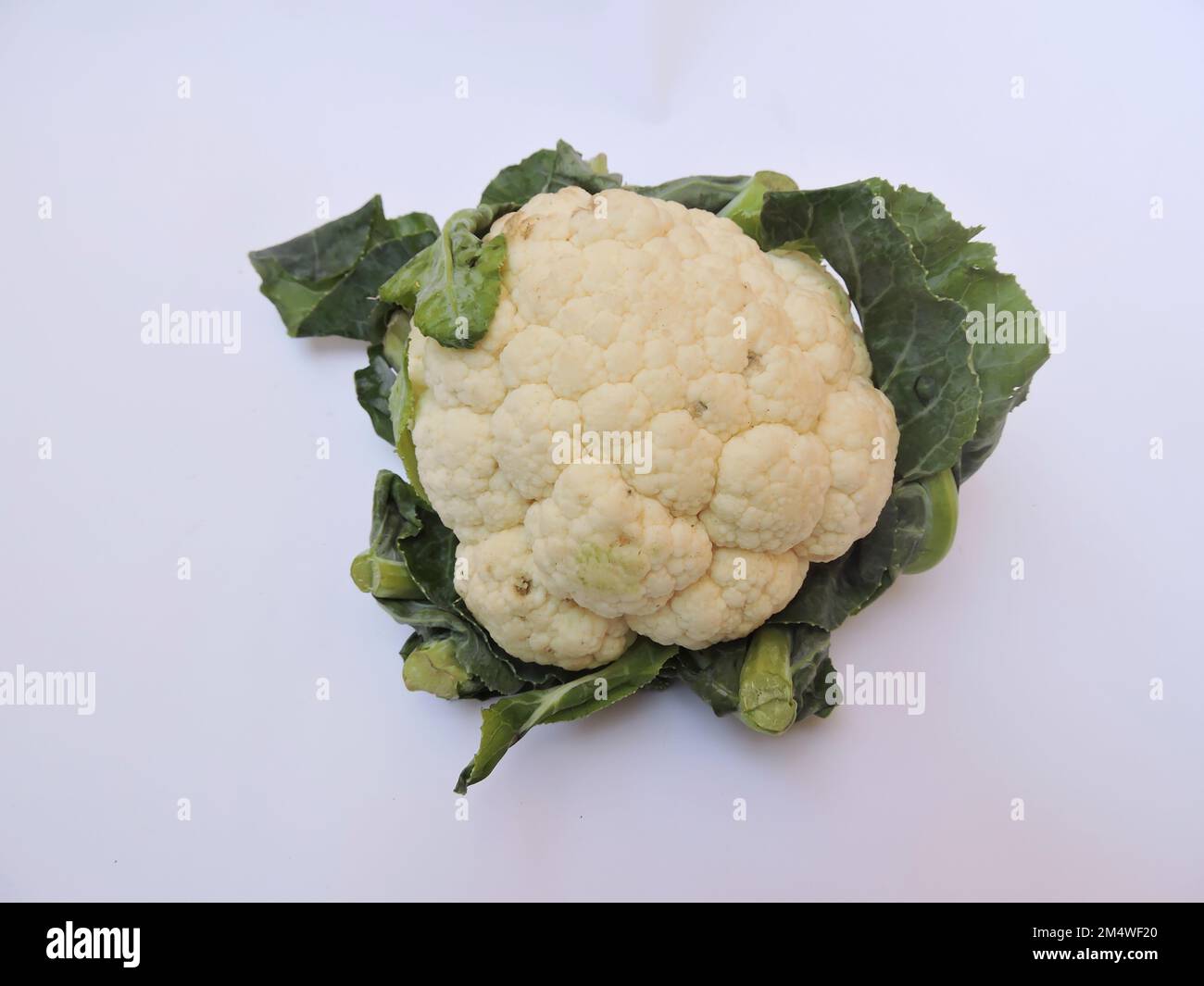 Cauliflower is a cruciferous vegetable that is a significant source of ...