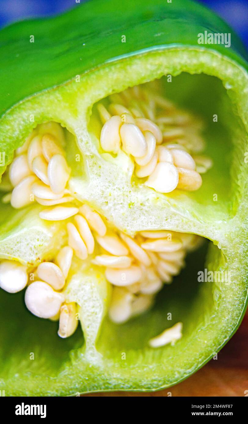 Macro of the inside of a green bell pepper for backgrounds Stock Photo ...