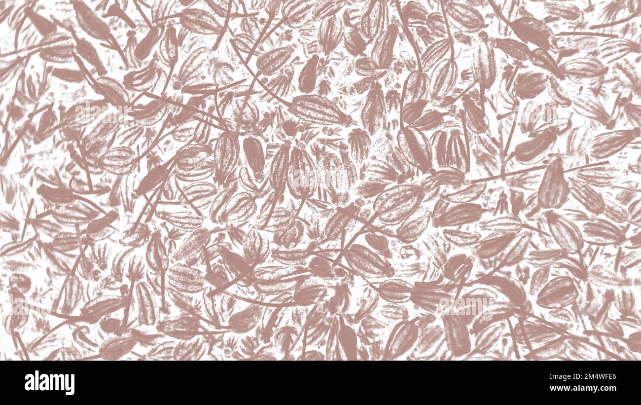 anise seeds for backgrounds and textures Stock Photo - Alamy
