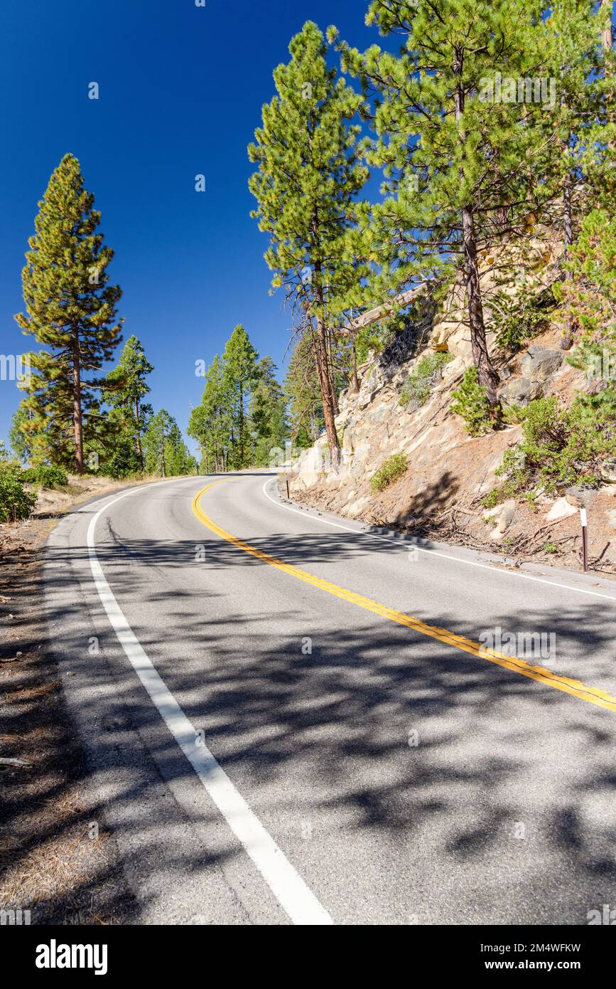 Asphalt curve road through forest. Yosemite national park, California ...