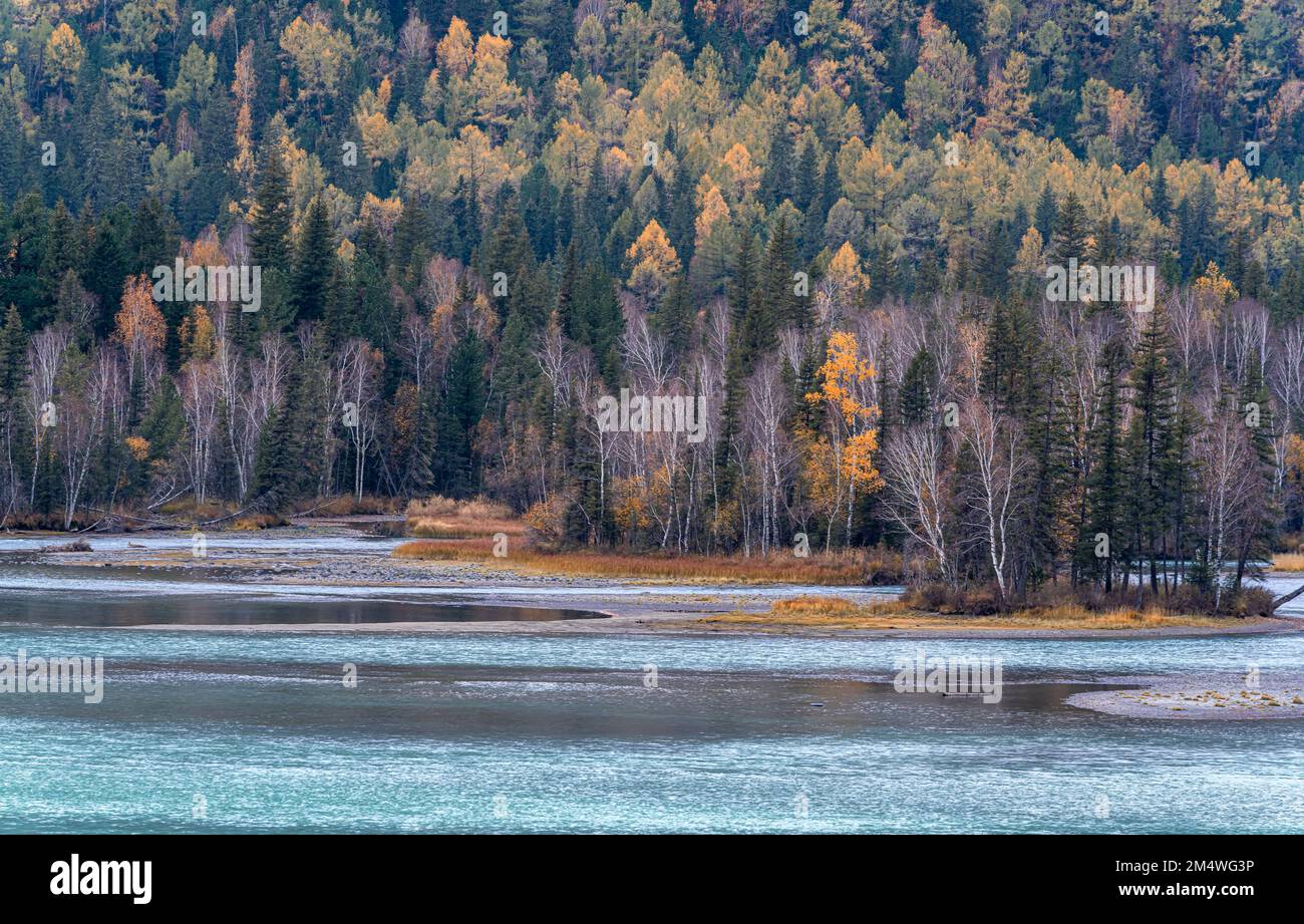 A breathtaking view of the river surrounded by dense colorful forest in ...